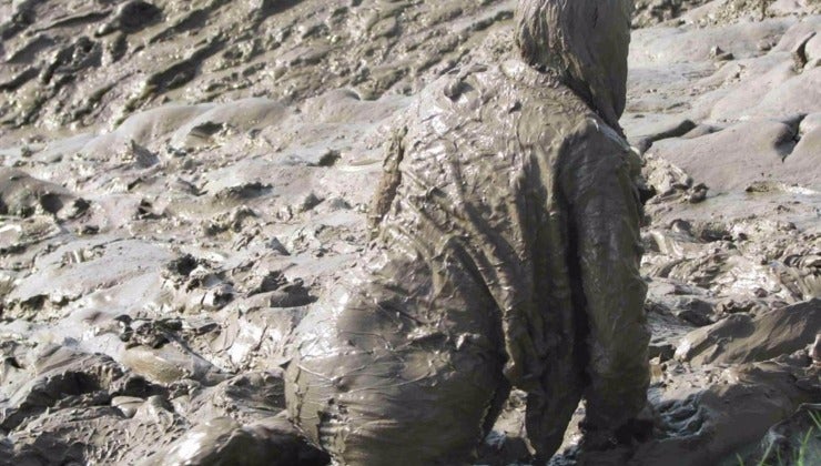 Shell's Casual Jeans Mud Play | MostWam