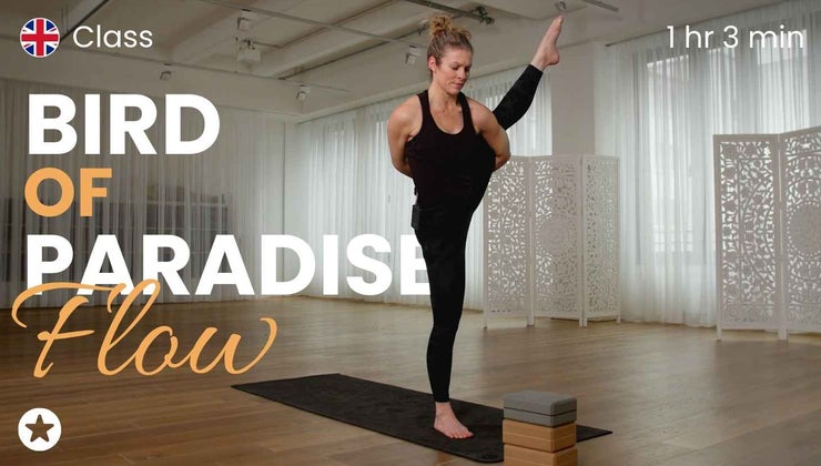 Online Yoga Class "Bird of Paradise Flow" with Alexandra