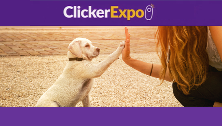 Puppy Start Right!: Teaching Puppy Classes | Video on Demand by Karen ...