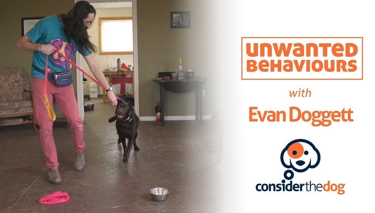 Unwanted Behaviours