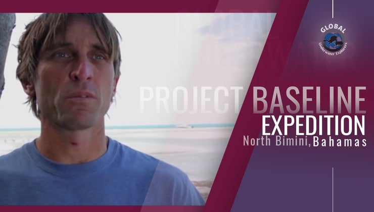 Project Baseline Expedition: North Bimini Island, Bahamas