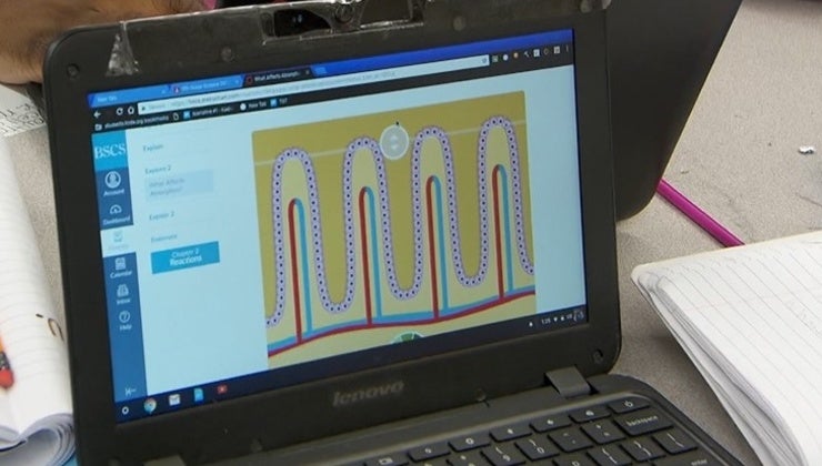 Digestion: A simulation of nutrient absorption | BSCS Science Learning ...