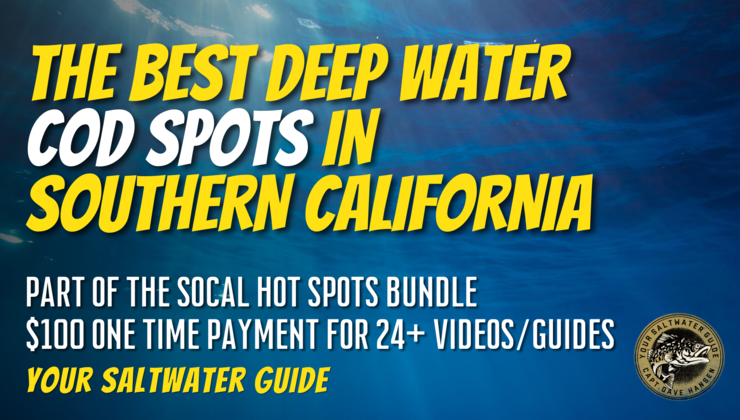 The Best Deep Water Cod Spots in Southern California | Your Saltwater Guide