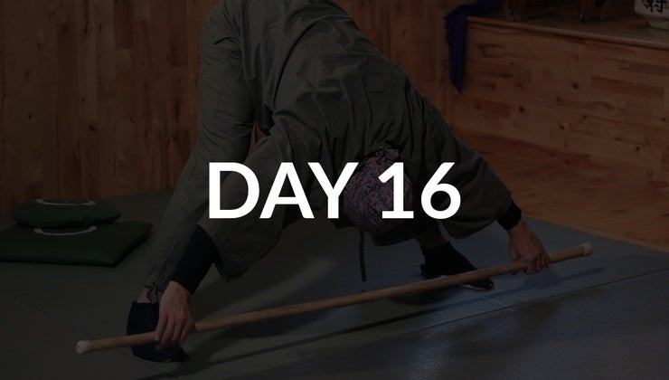 Day 16: Water Element | Budo Brothers TV