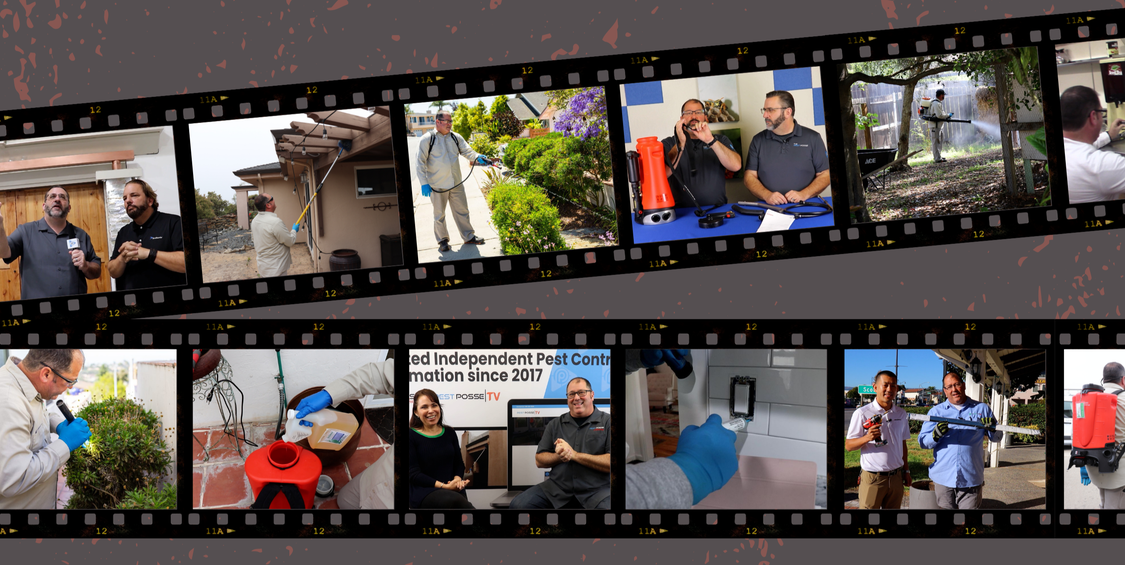 Pest Posse TV