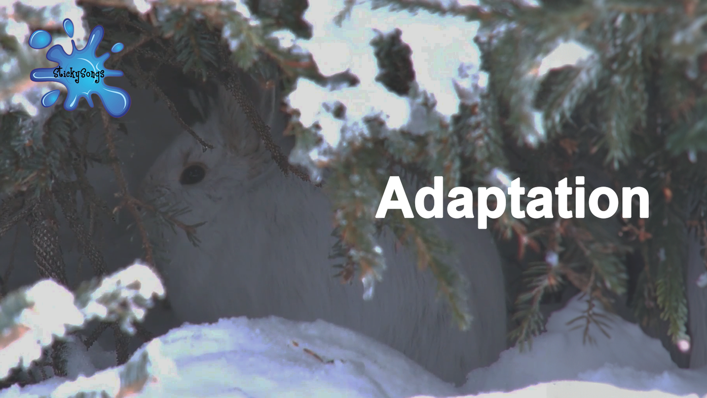 Welcome to SchoolVideos.tv™ PLUS featuring SchoolMedia Interactive ...