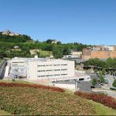 virtual surgical masterclass