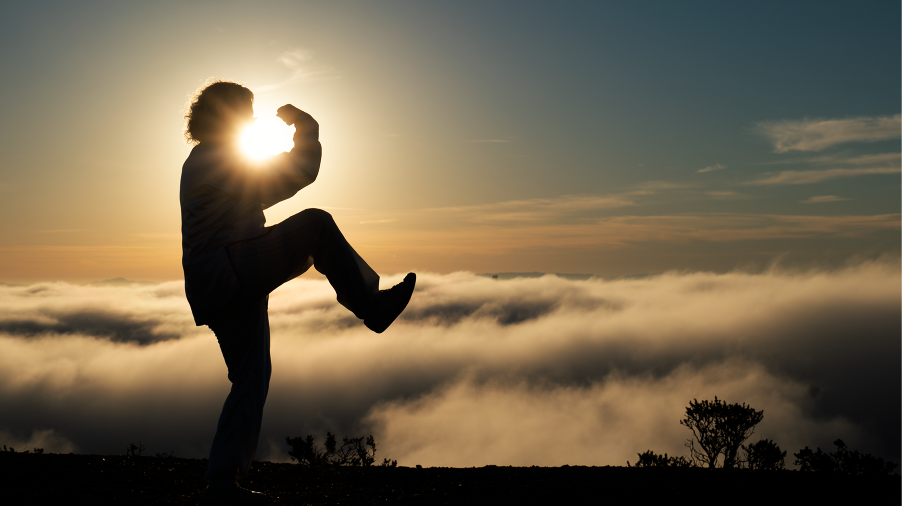 10,000 Victories Online