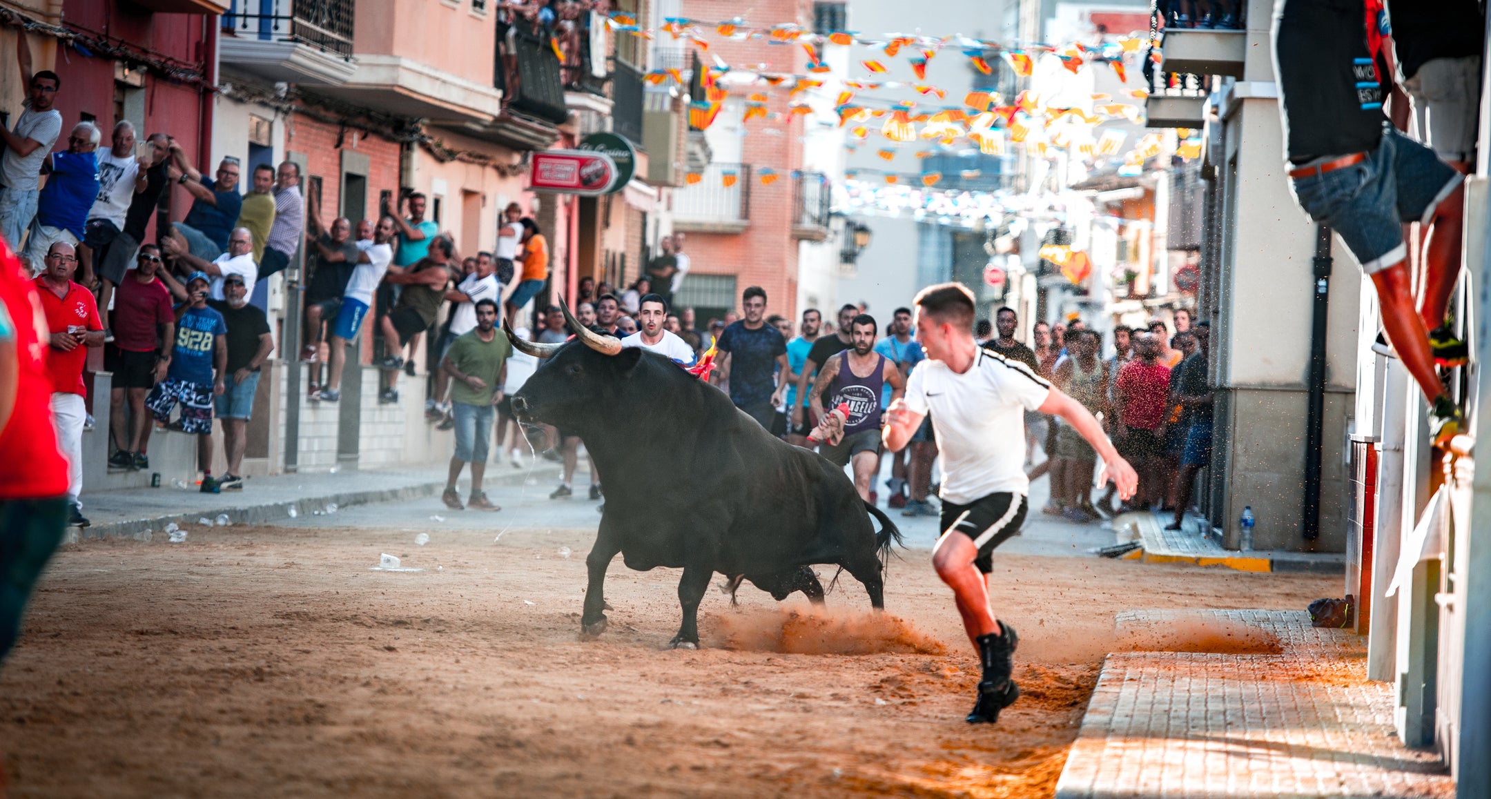 Toros en España | Web Oficial