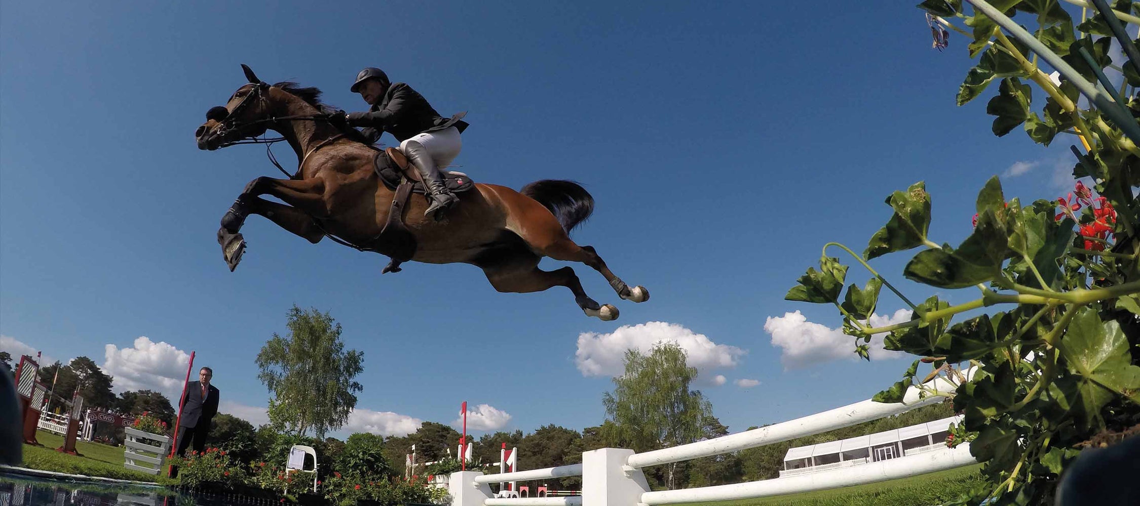 Cheval TV