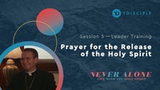 Confirmation Toolkit Catalog