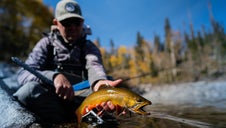 Fly Fusion Streaming