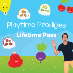 PLAYTIME LIFETIME PASS