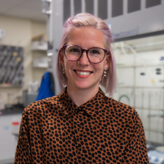 Chemmunity | Professor Dave