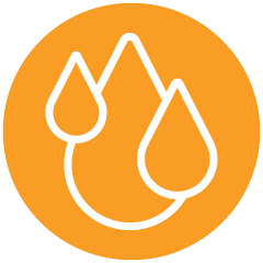 Dailey Method Online