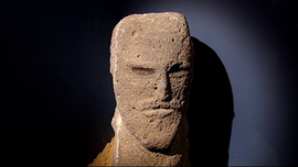 Taraia Object Amelia Earharts Aircraft