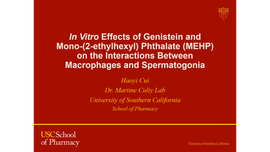 Cardiothoracic Anatomy - CXR with CT Correlation - by Scott | Veritas TV