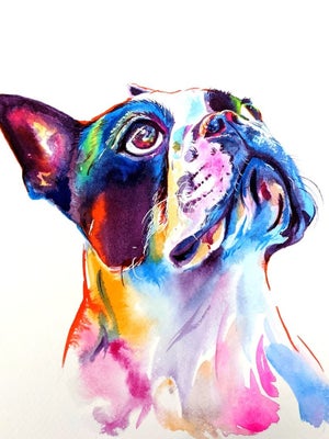 Paws & Portraits $40 75% OFF