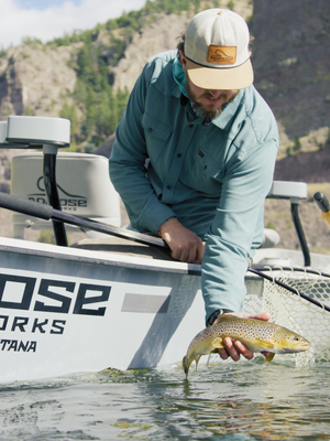 Fish Camp | Online Fly Fishing Courses & Guides