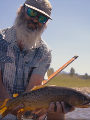 Fish Camp | Online Fly Fishing Courses & Guides