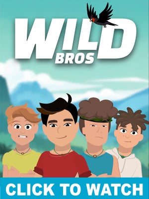 Wild Brothers TV