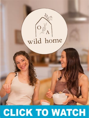Wild Brothers TV