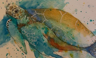 Andreea Nae - Watercolour Wildlife TVoD $29