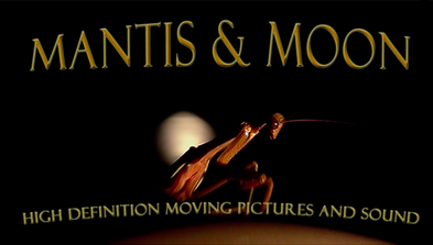 Mantis & Moon Stream