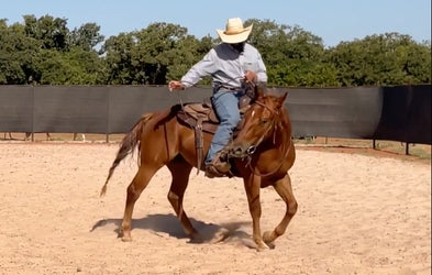 Home [3reinmedia.com]