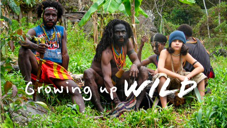 Wild Brothers TV