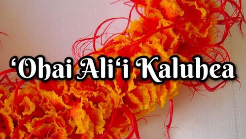 K U A N A • Bringing Hula and Hawaiian Culture to the World | Kuana ...