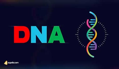 Medical School Online Education Courses | 1800+ Lectures