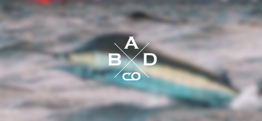 BADCO Crew - Bad Company World Tour