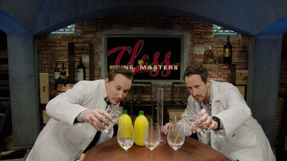 WineMasters Class Overview