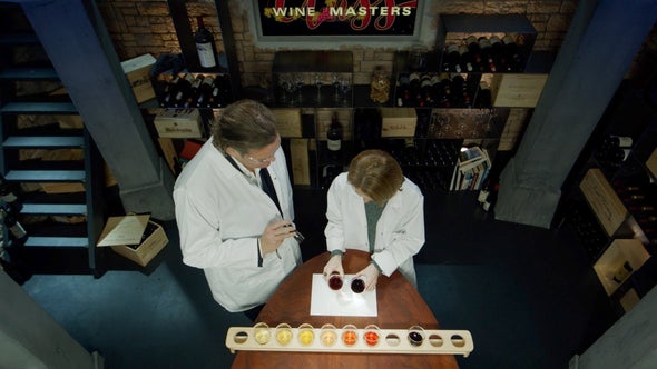 WineMasters Class Overview