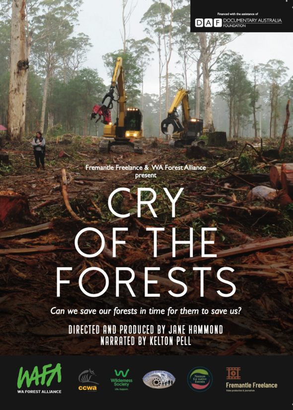 Cry Of The Forests