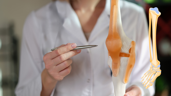 Les bases du ski : le guide du skieur accompli