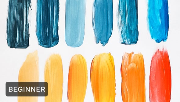 Structured Courses (Live and Recorded)