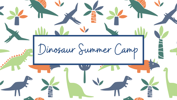 Summer Camp LP