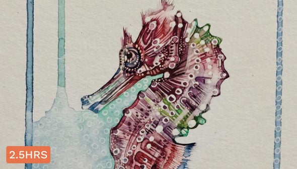 Underwater Watercolour Wonders TVoD $43 75% OFF