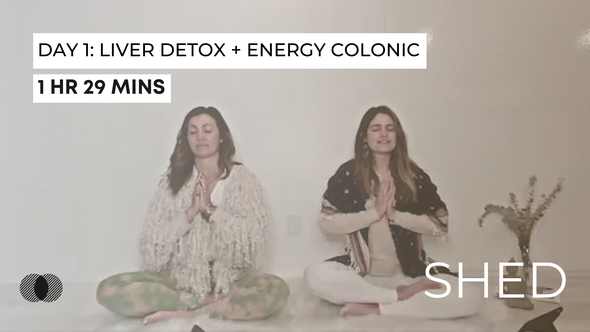 SHED: A 5 DAY CLEANSE by Britt Deanda & Tara Schulenberg