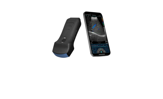 Concurs Scoala de vara de ultrasonografie clinica 2024