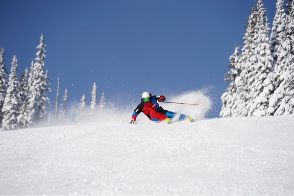 About Tom Gellie - Ski Coach