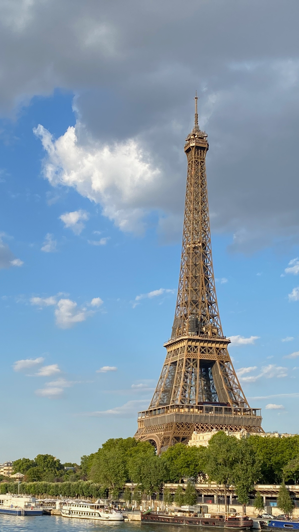 Learn Fun Beginners French for kids