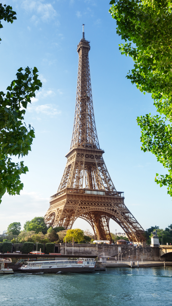 Learn Fun Beginners French for kids