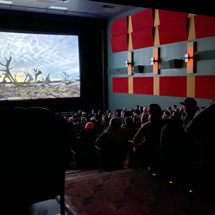 Streaming the best fly fishing films