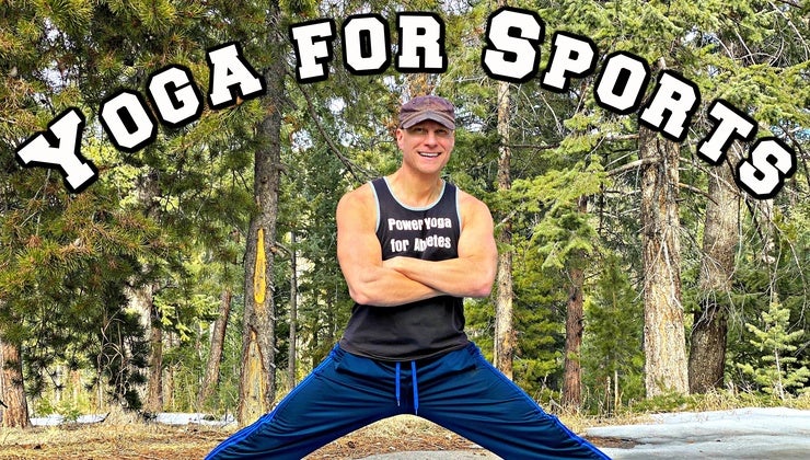 Sean Vigue Fitness | Sean Vigue Fitness - Online Training Library