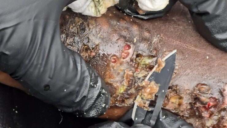 Rise Up Society Videos | Rise Up Society (RUS)