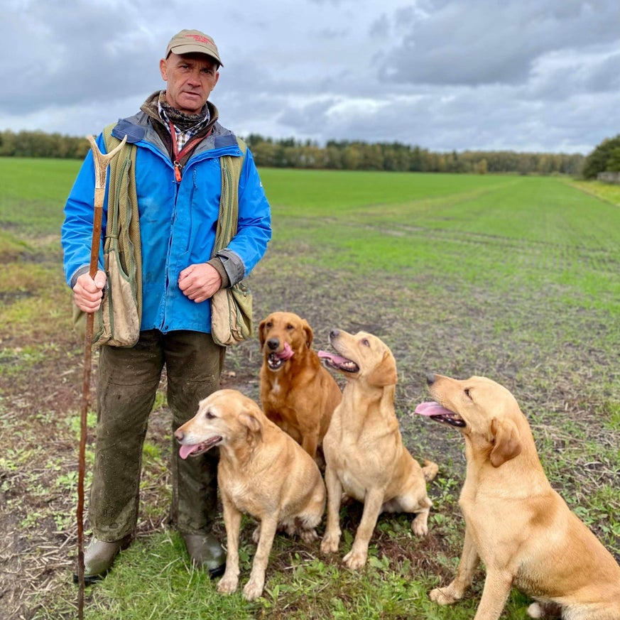 Halsted Gundog Academy