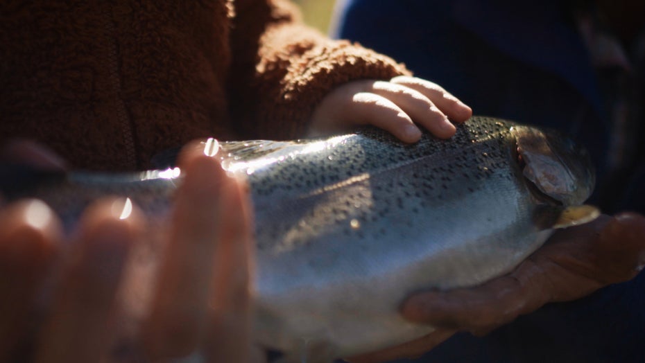 Streaming the best fly fishing films